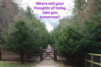 How to Think About Your Thoughts: Chris Meaden's Guide