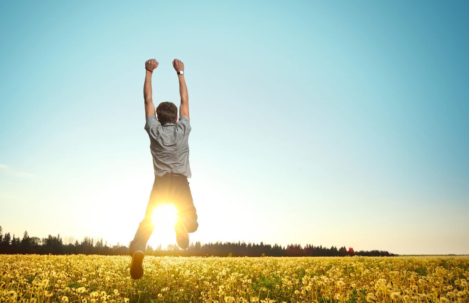 Havening Therapy: Science & Emotional Healing | Chris Meaden